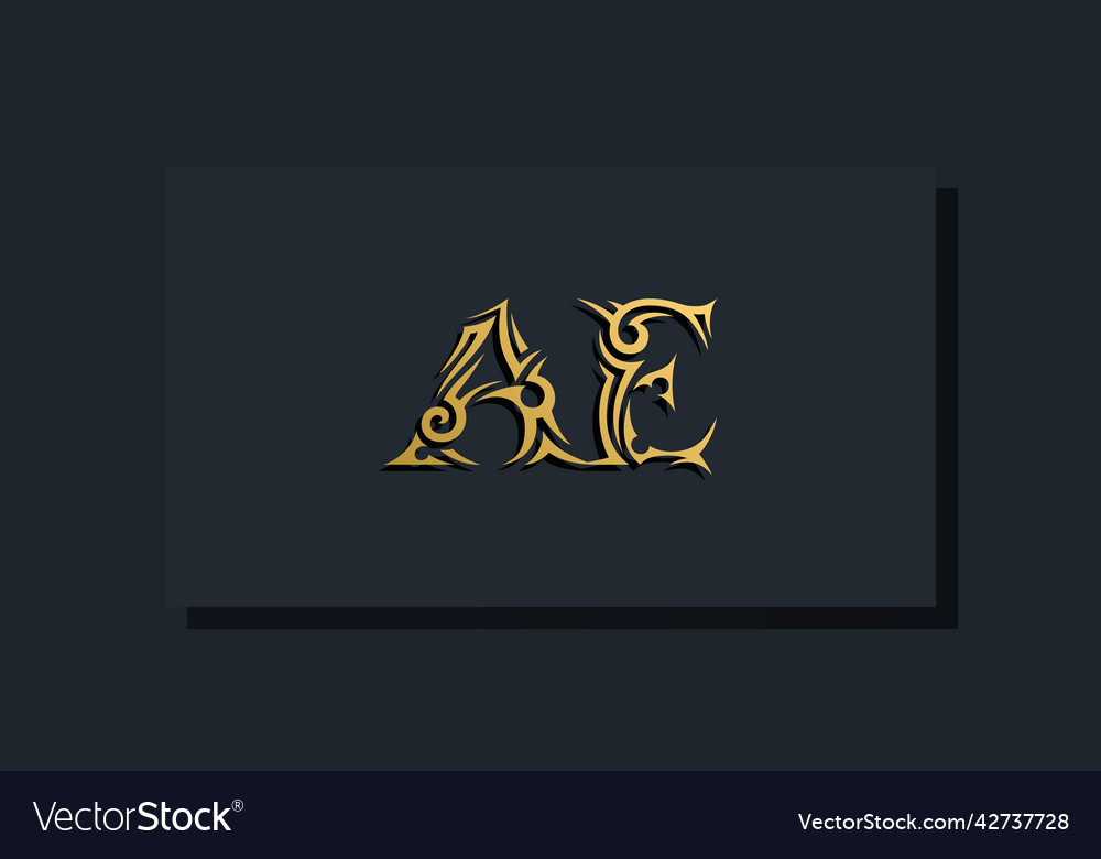 Luxury initial letters ae logo design Royalty Free Vector