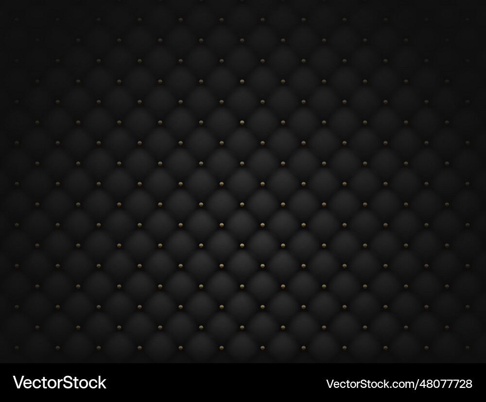 Luxury quilted background upholstery or matte Vector Image