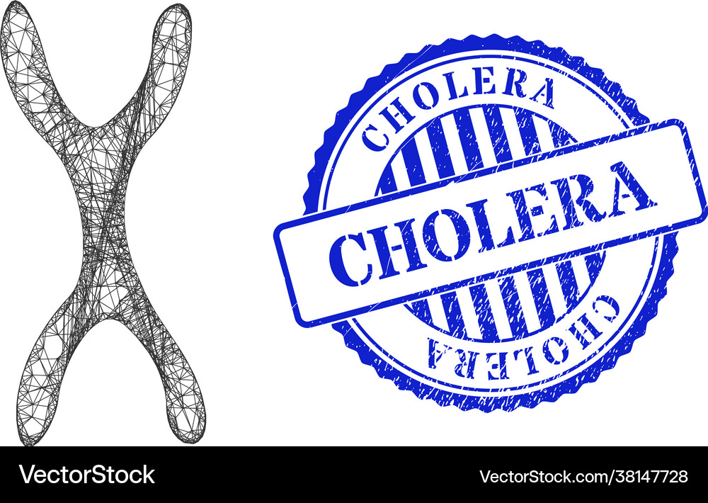 Rubber cholera seal and net chromosome mesh Vector Image