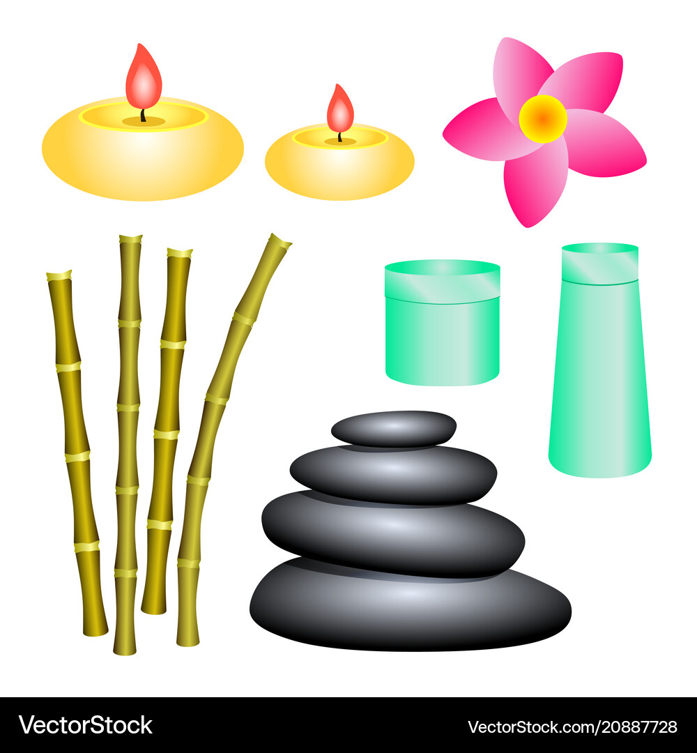 Set of spa center elements for decoration Vector Image