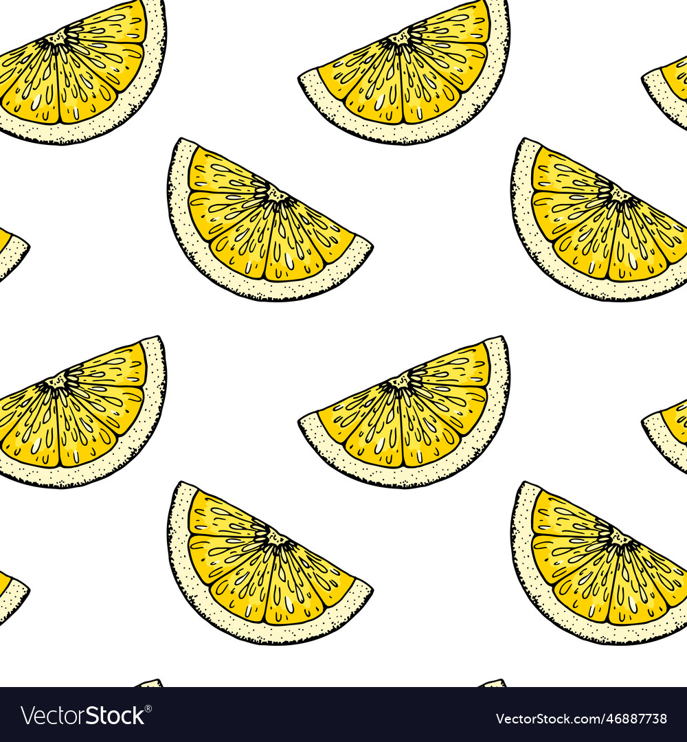 Lemon slice seamless pattern colorful hand drawn Vector Image