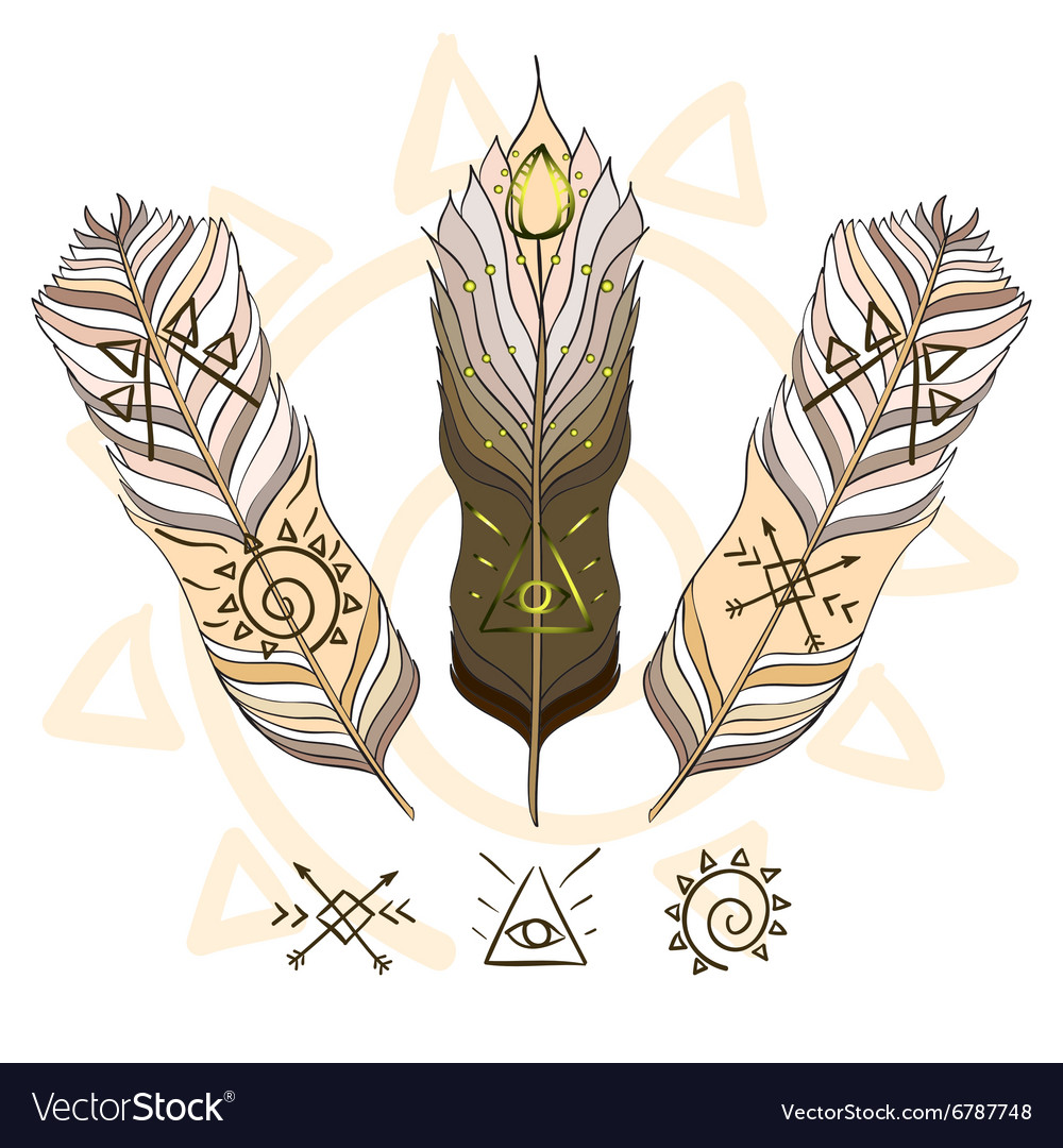 Boho feather Royalty Free Vector Image - VectorStock