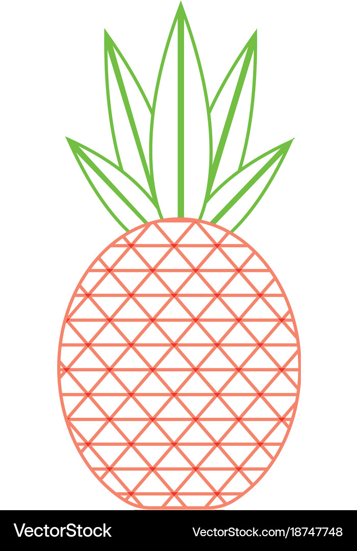 Isolated pineapple design Royalty Free Vector Image