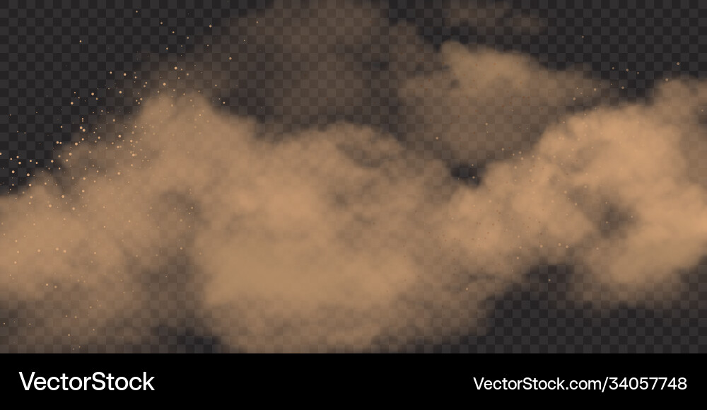 Realistic sand cloud with stones and dirt dusty Vector Image
