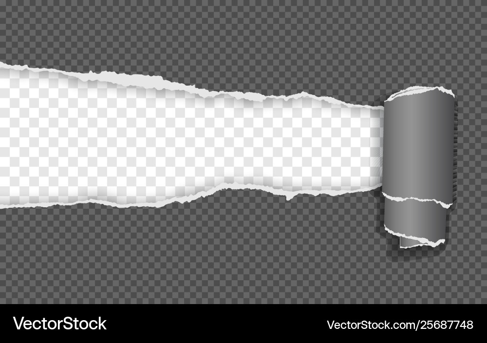 Realistic torn and twisted paper strip torn paper Vector Image