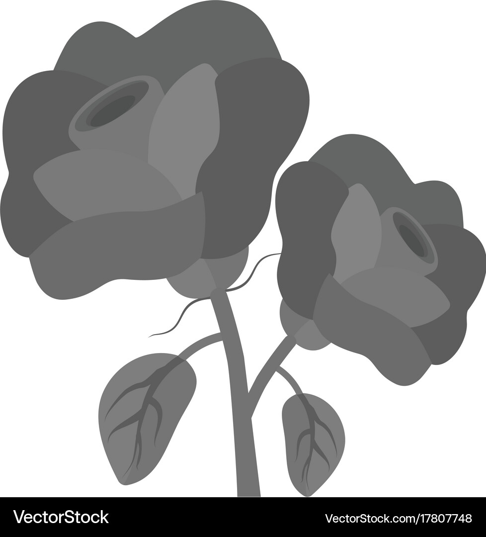 Roses Royalty Free Vector Image - VectorStock