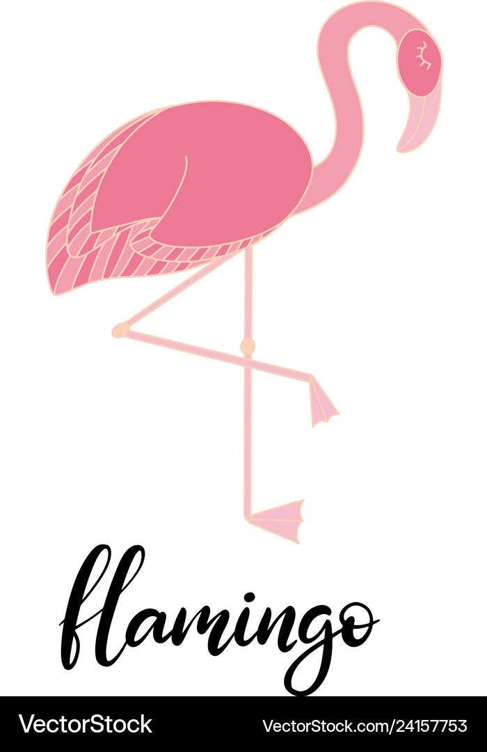 Flamingo tropical leaves lettering Royalty Free Vector Image