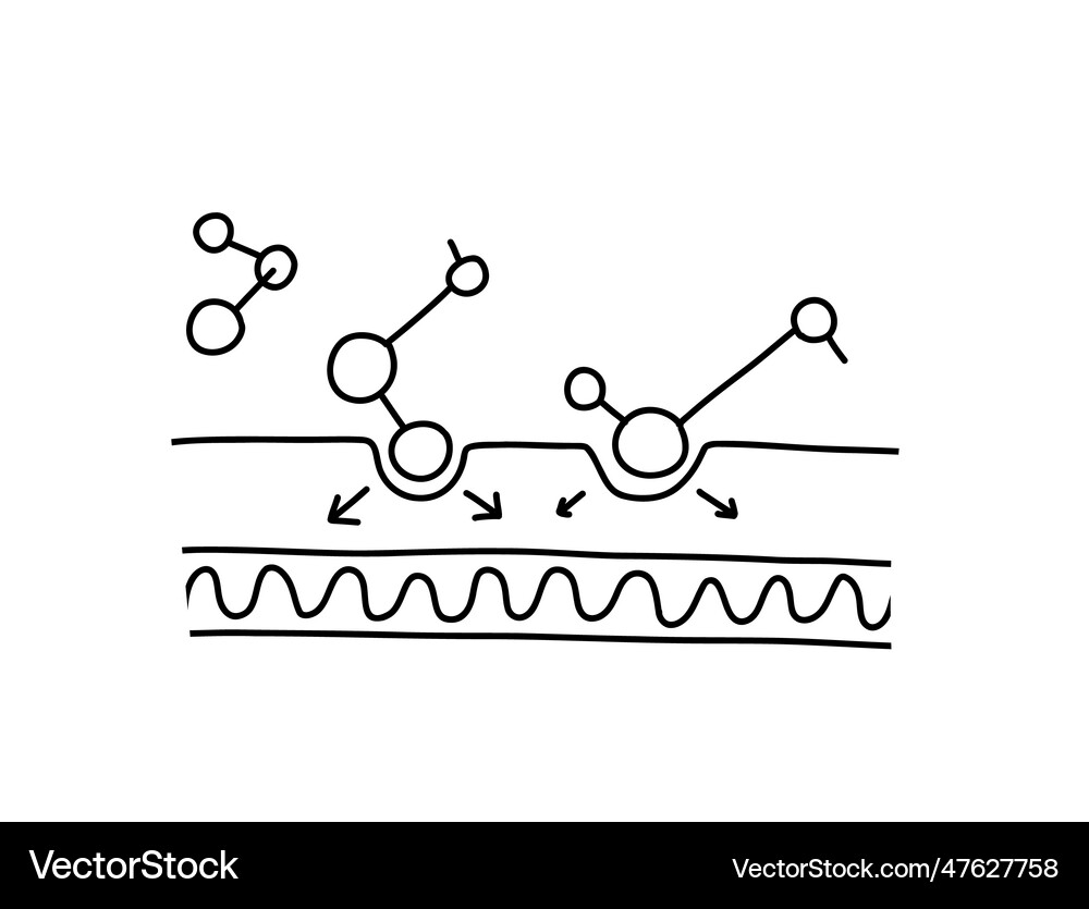 Anti-aging peptide skin molecular schema Vector Image