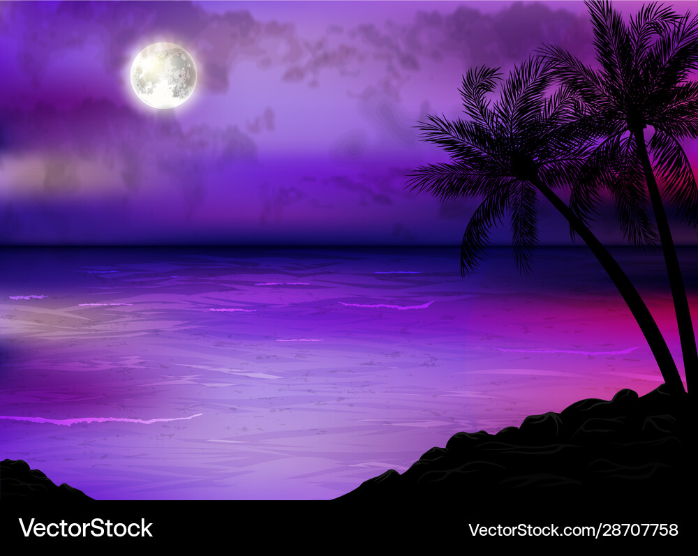 Illustration tropical beach at night Royalty Free Vector