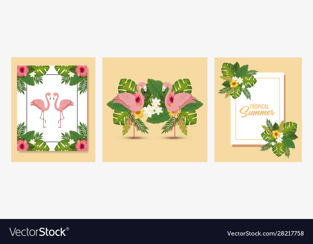Set tropical summer poster with flamingos Vector Image