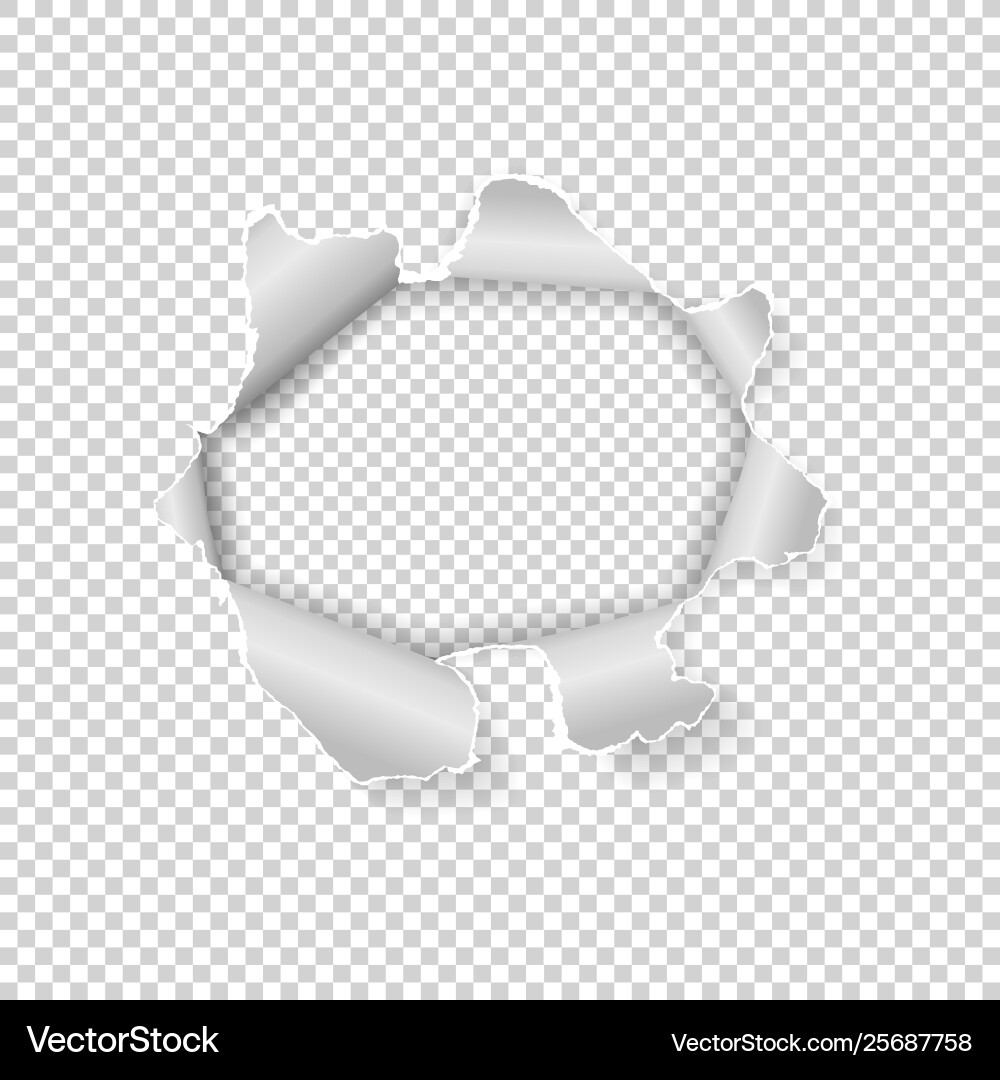 Torn hole in paper on transparent background Vector Image