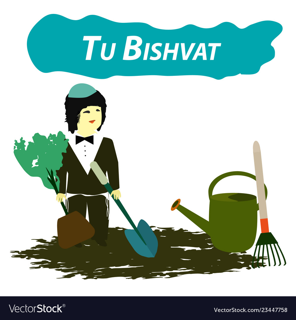 Tu bishvat jewish new year of trees planting Vector Image