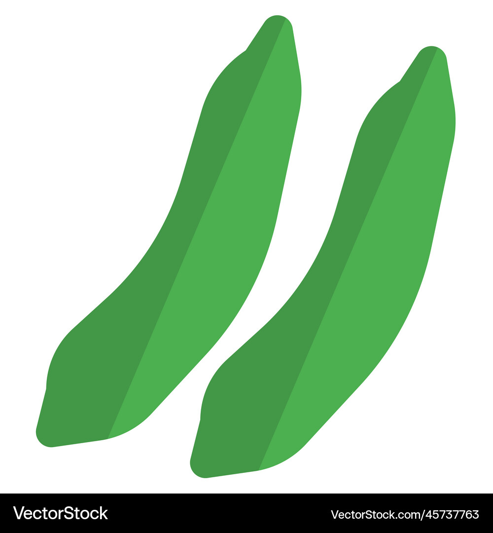 Pair of healthy fresh beans Royalty Free Vector Image