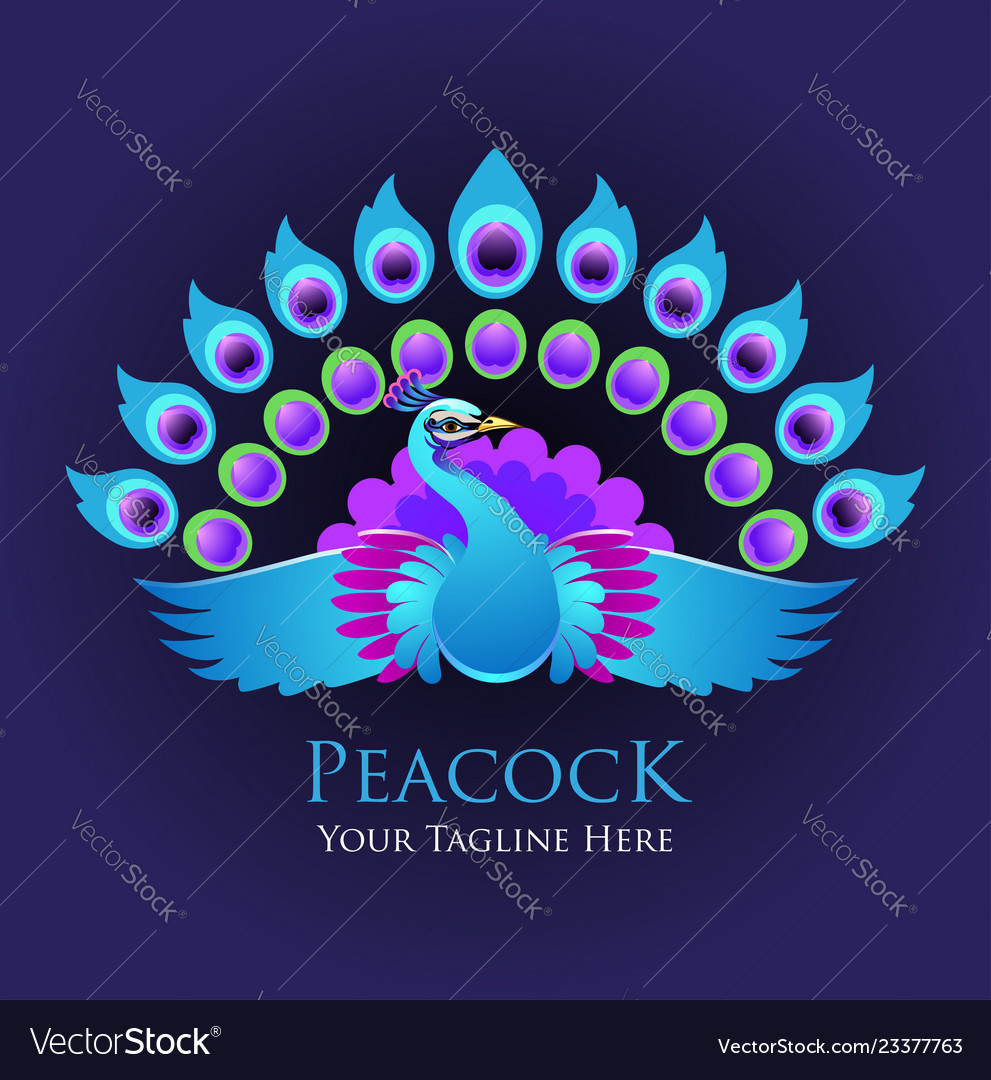 Peacock Royalty Free Vector Image - VectorStock