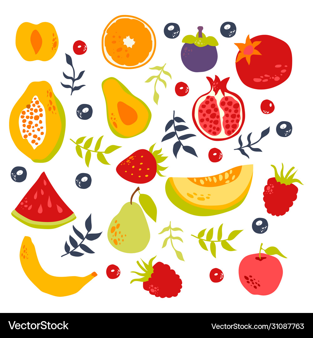 Stylized fruits with berries and green branches Vector Image