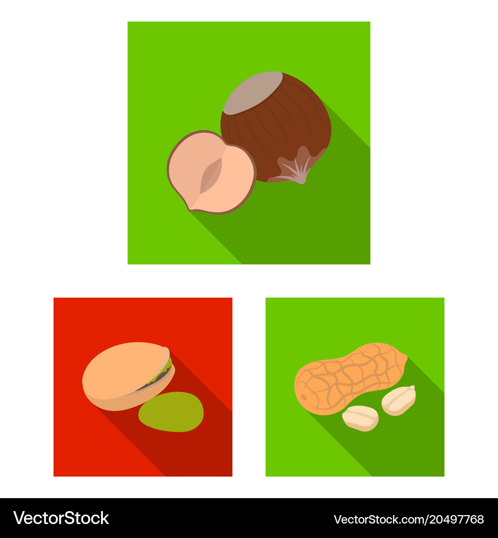 Different kinds of nuts flat icons in set Vector Image