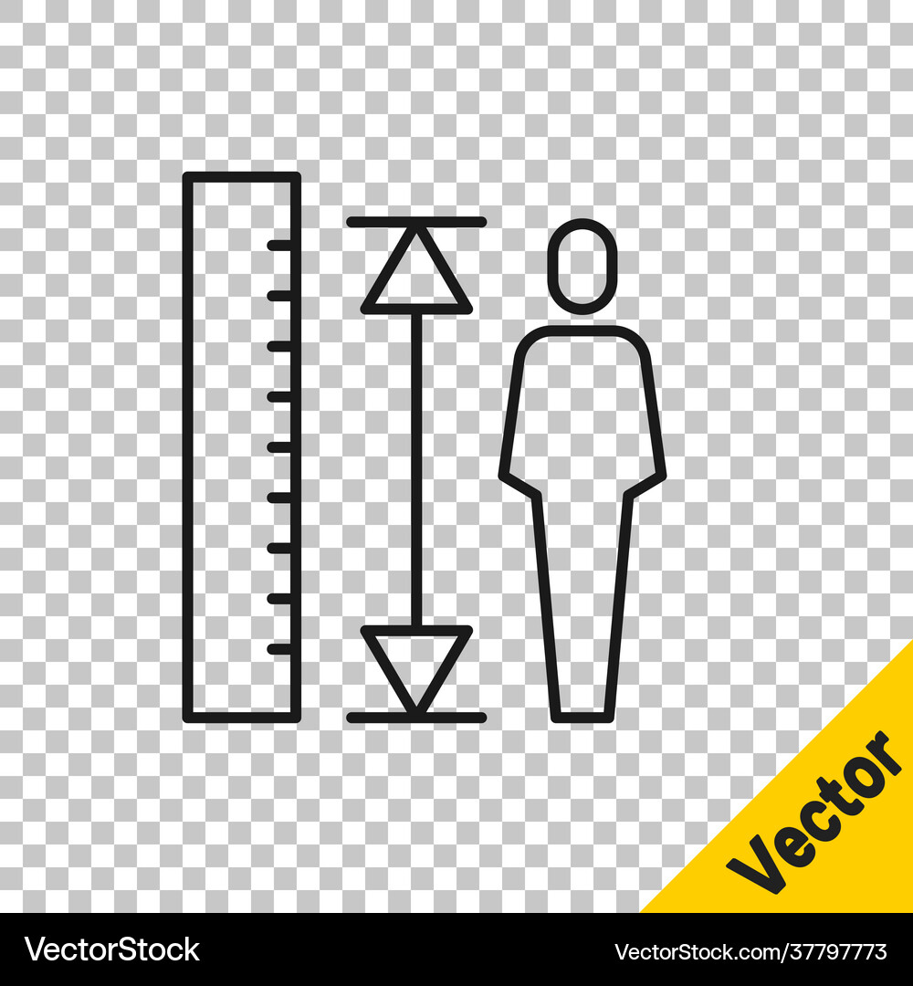 Black line measuring height body icon isolated Vector Image