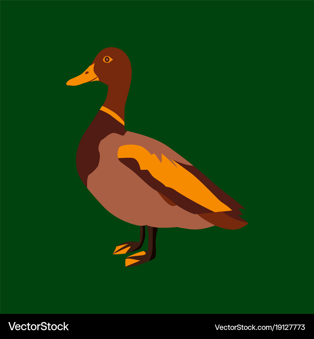 In flat style of wild duck Royalty Free Vector Image