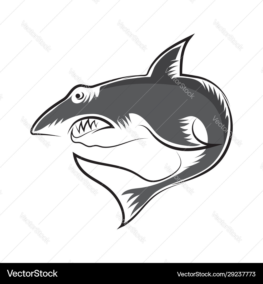 Shark isolated on white background fish animal Vector Image