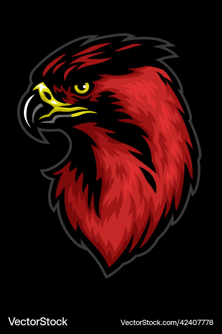 Hawk Head Vector