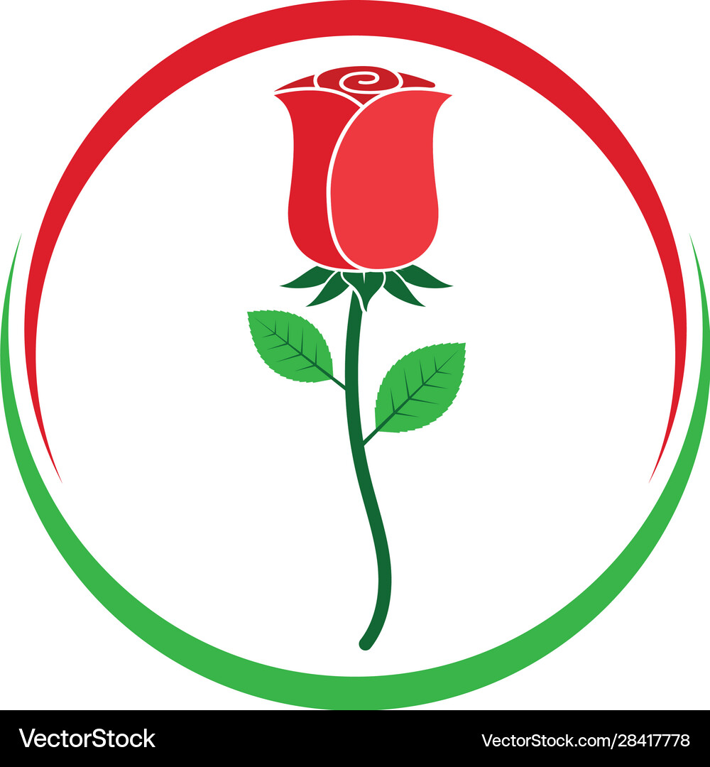 Rose flower logo template Royalty Free Vector Image