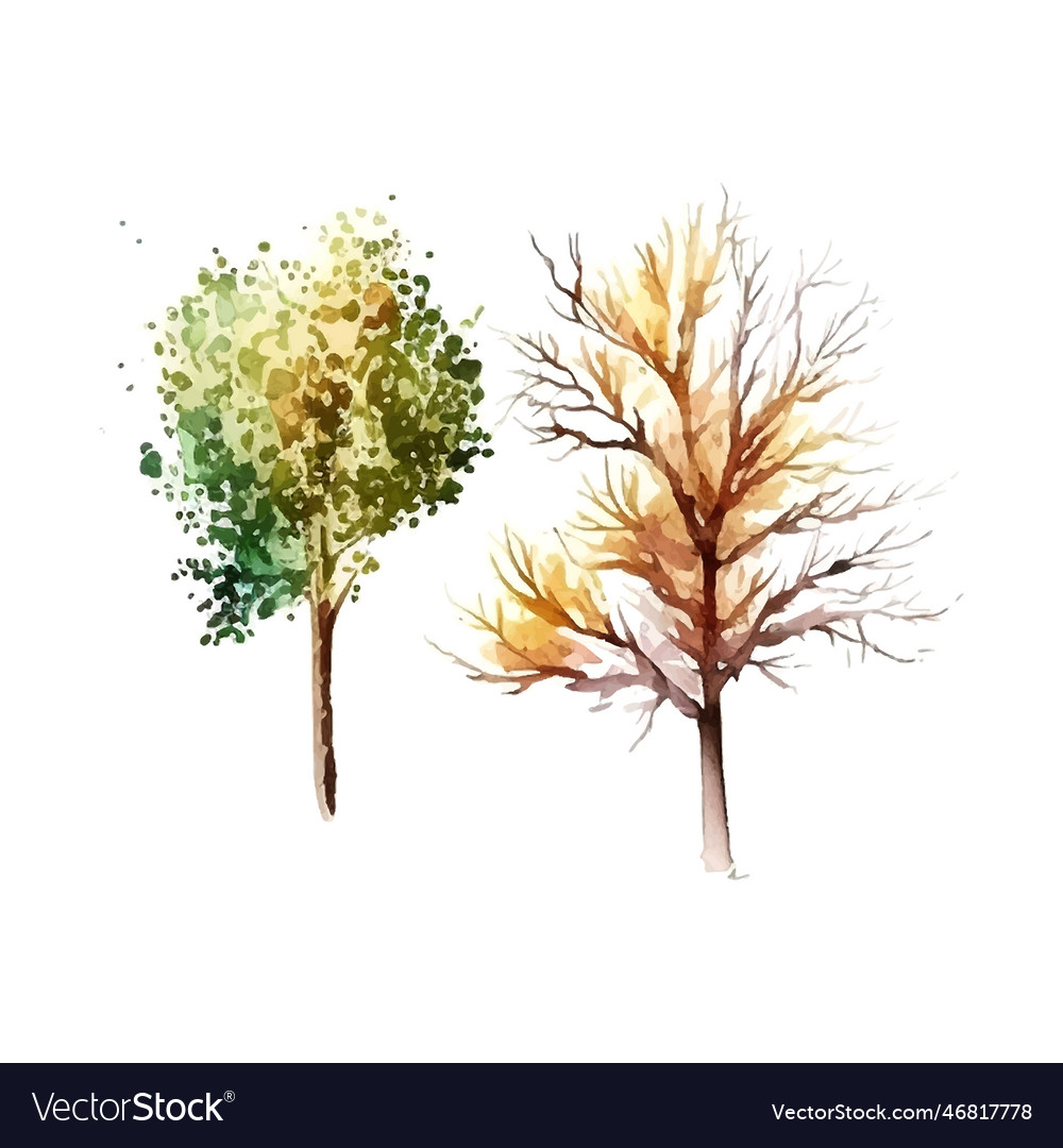 Watercolor tree hand draw nature painting Vector Image