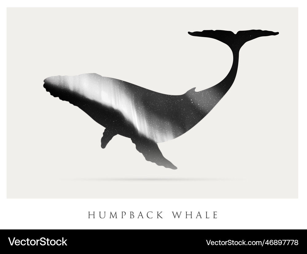 Whale silhouette abstract animal shape night Vector Image