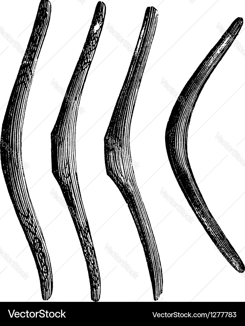 Boomerang flying tool vintage engraving Royalty Free Vector