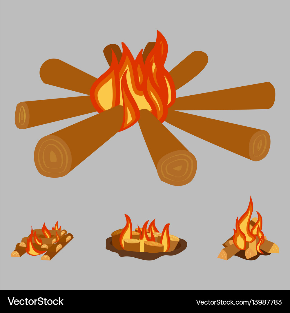 Isolated of campfire logs burning Royalty Free Vector Image