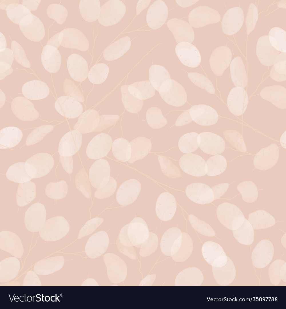 Seamless dry lunaria floral pattern Royalty Free Vector