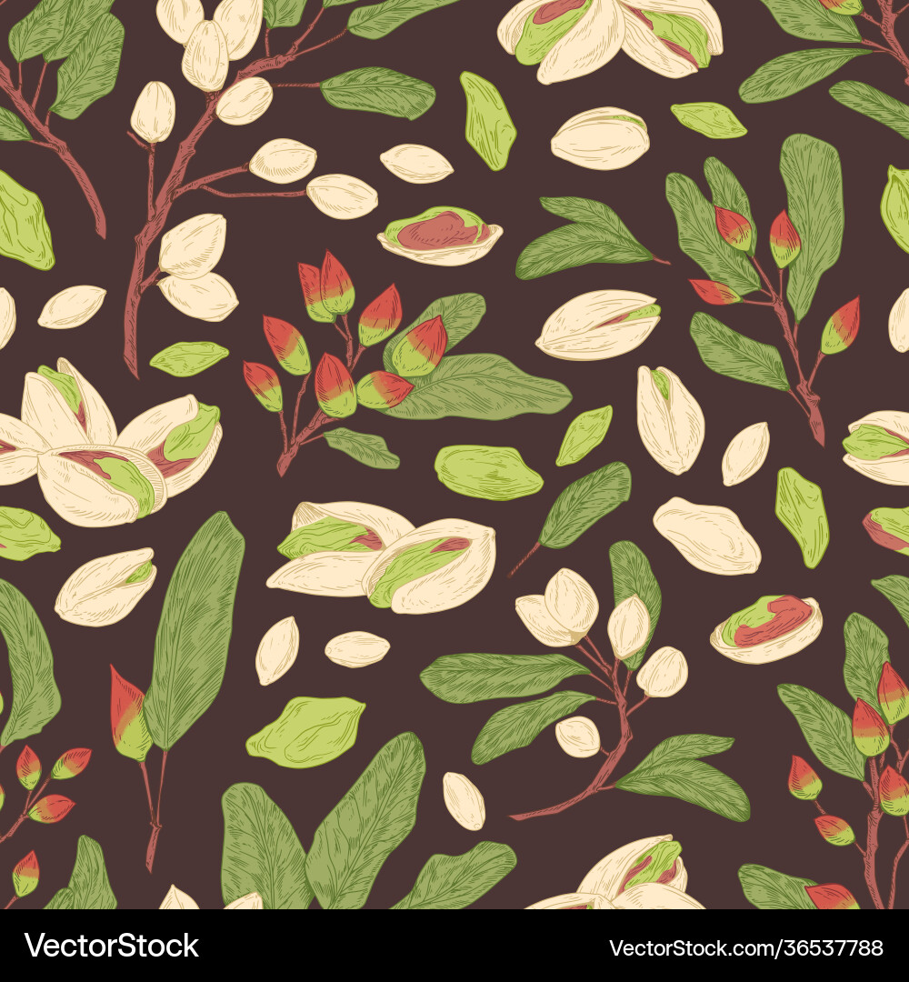 Seamless pistachio pattern with nuts shells Vector Image