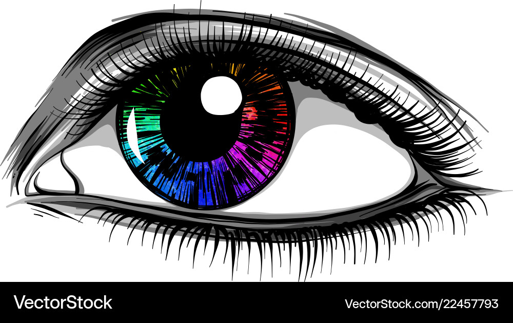 Beautiful women eyes with make Royalty Free Vector Image