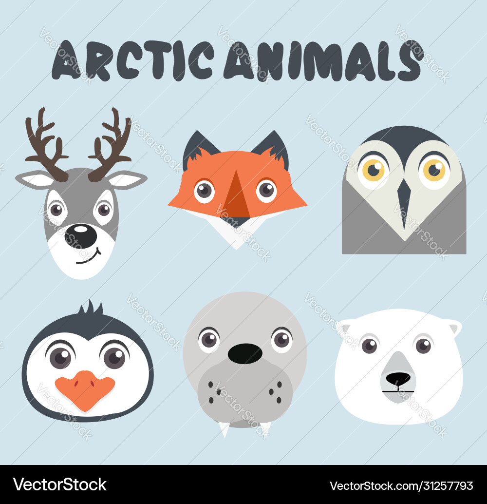 Cute animal arctic heads set Royalty Free Vector Image