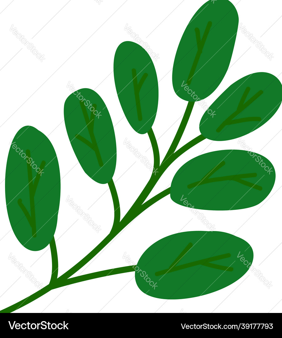 Growing tree green leaf garden eco nature Vector Image