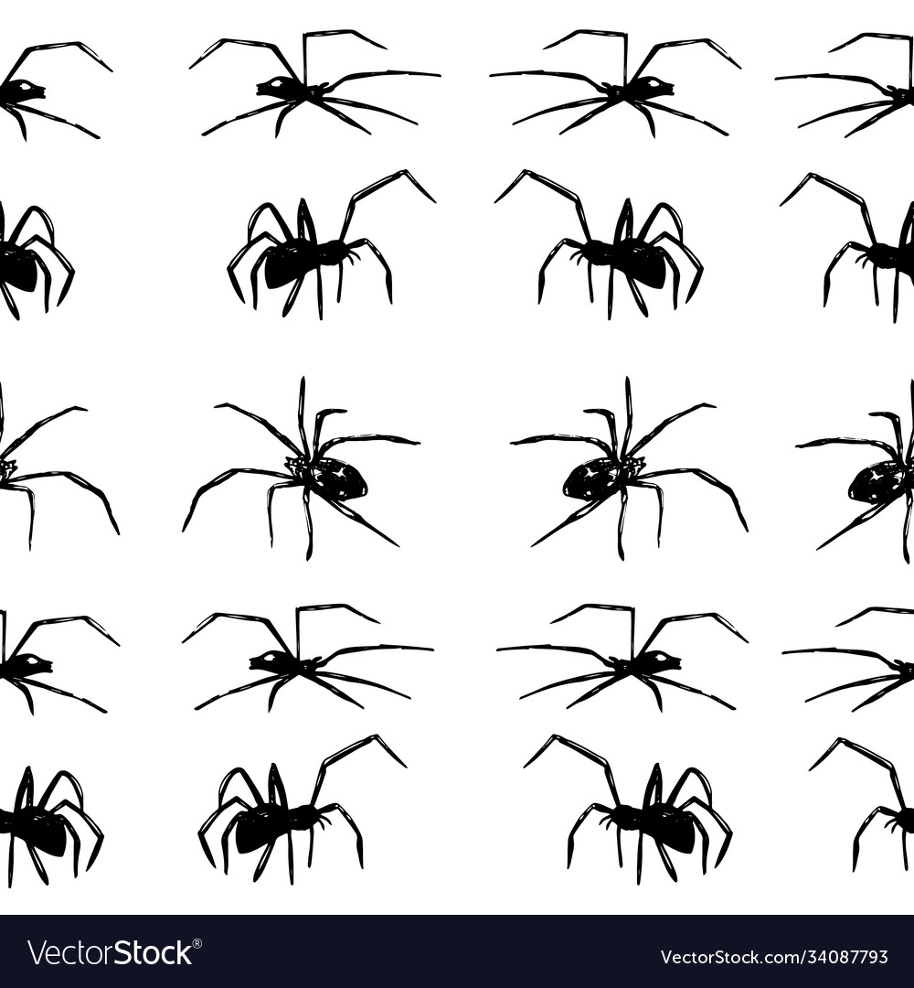 Hand drawn spiders pattern halloween decoration Vector Image