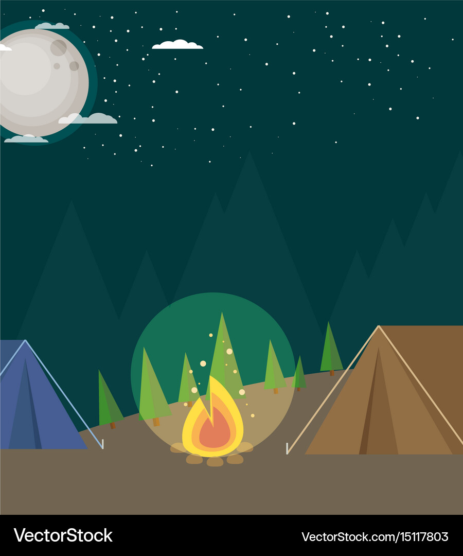 Camping in forest at night flat design style Vector Image