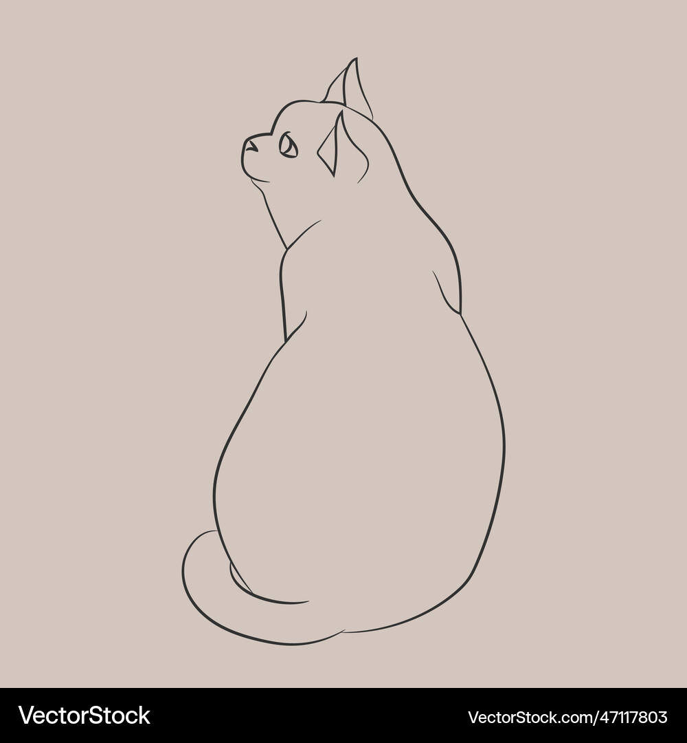 Hand drawn sitting cat contour on gray background Vector Image