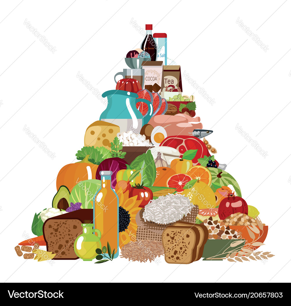 Healthy Food Choices Royalty Free Vector Image