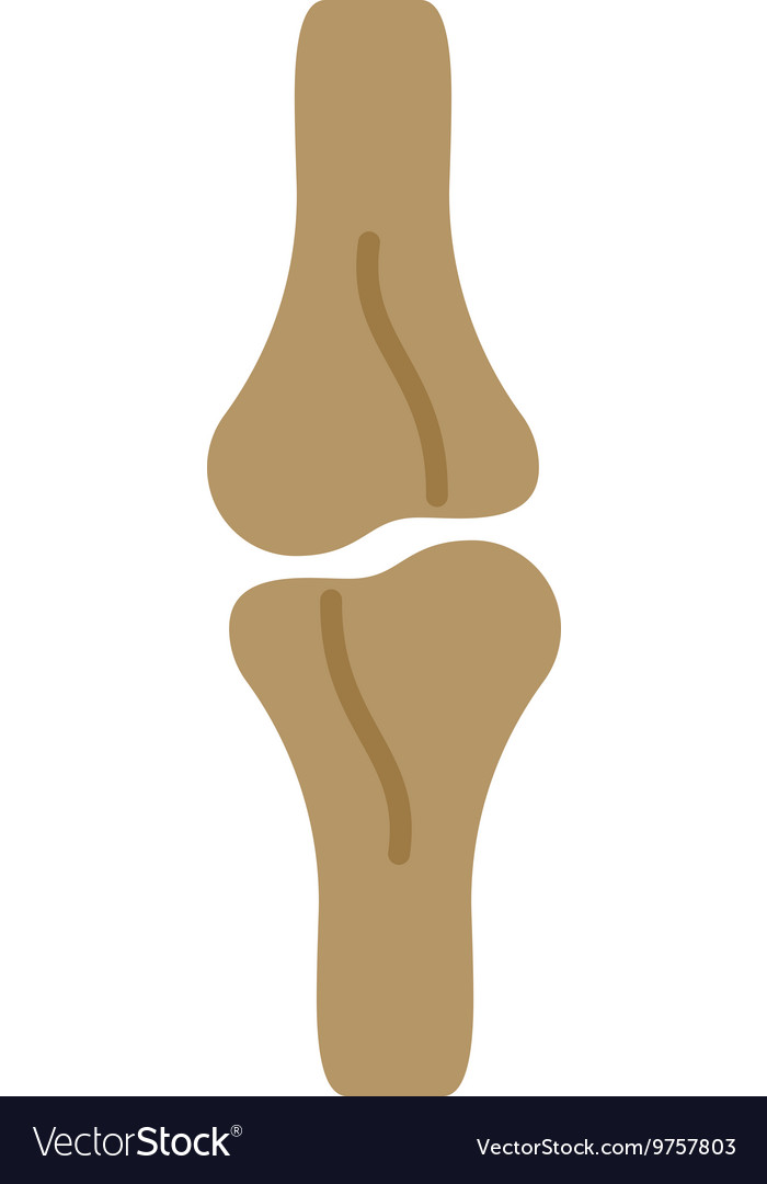 Joint Royalty Free Vector Image - VectorStock