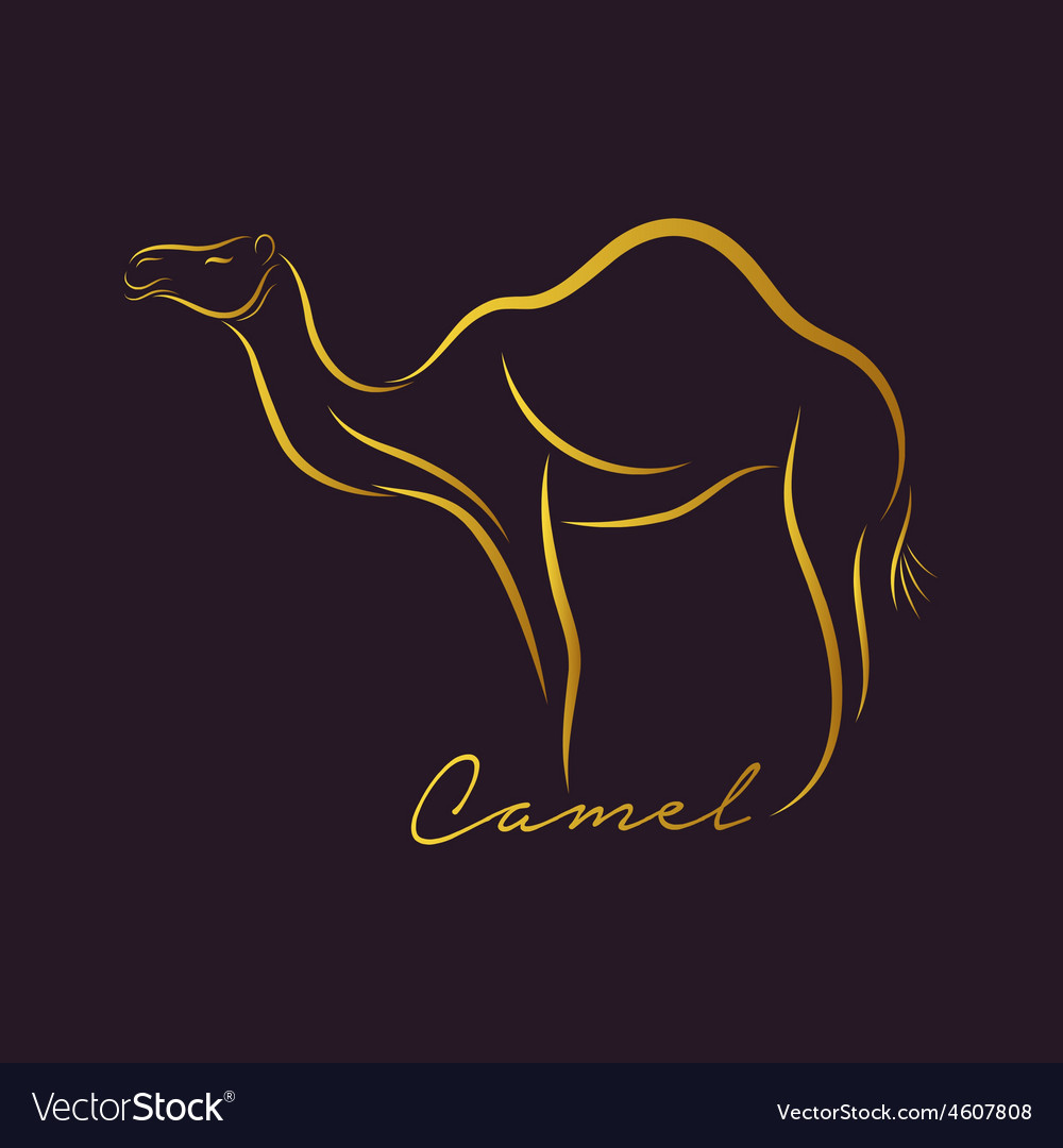 Camel logo Royalty Free Vector Image - VectorStock