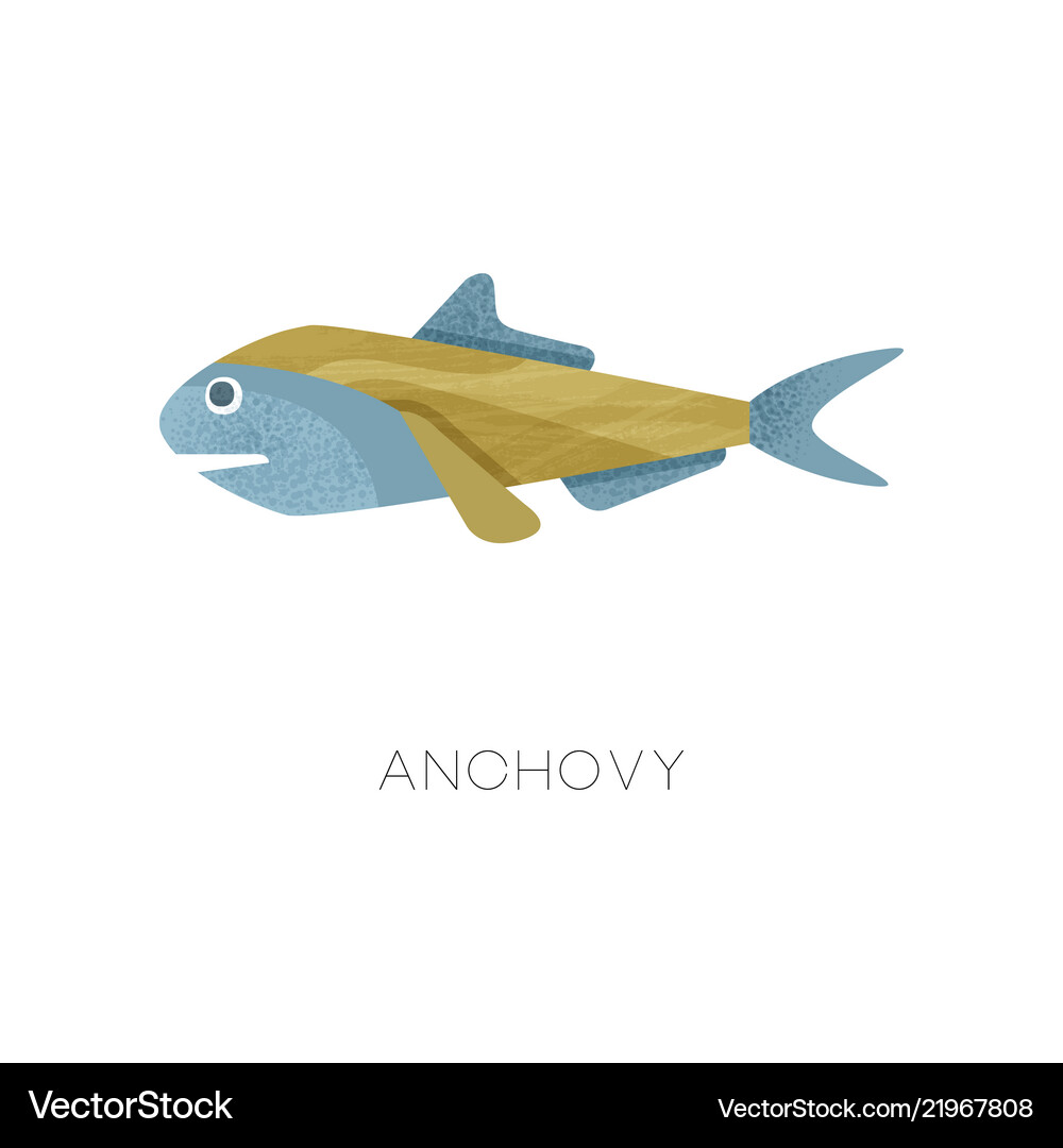 Small anchovy sea fish marine Royalty Free Vector Image