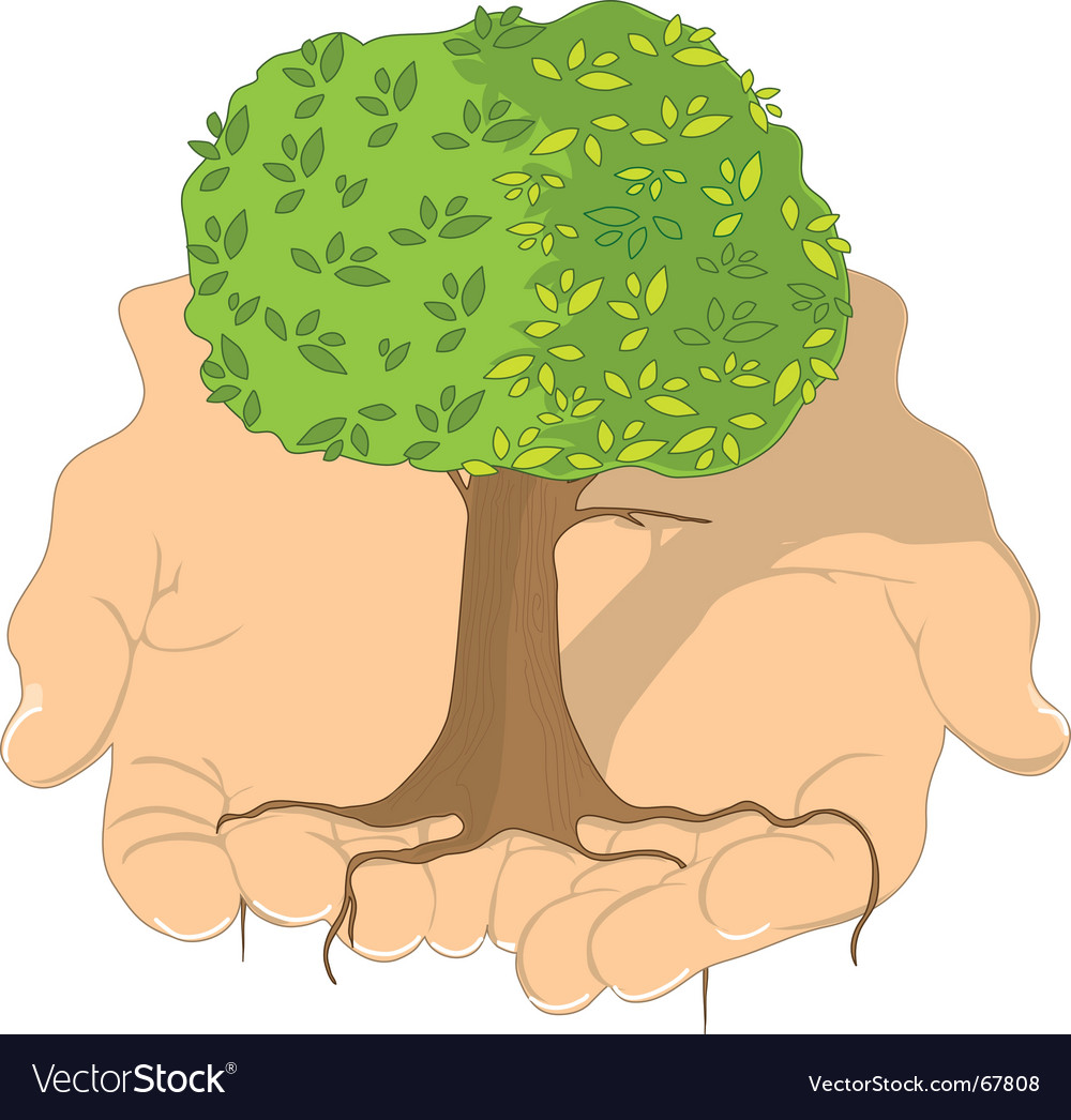 Tree in hands Royalty Free Vector Image - VectorStock