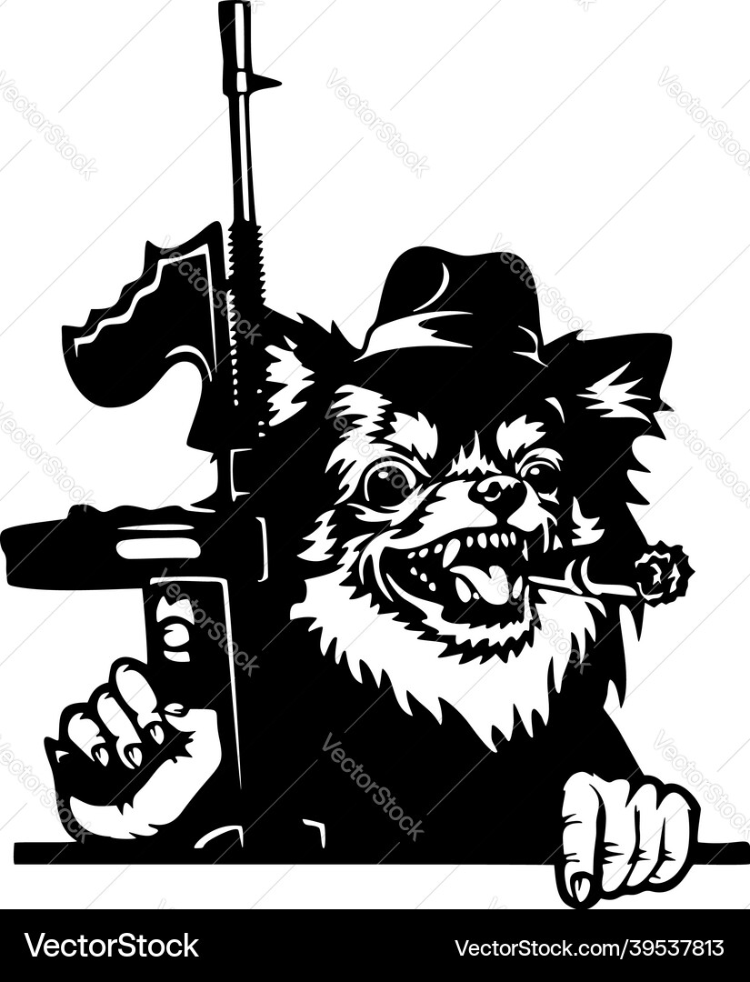 Angry Chihuahua with Gun Royalty Free Vector Image