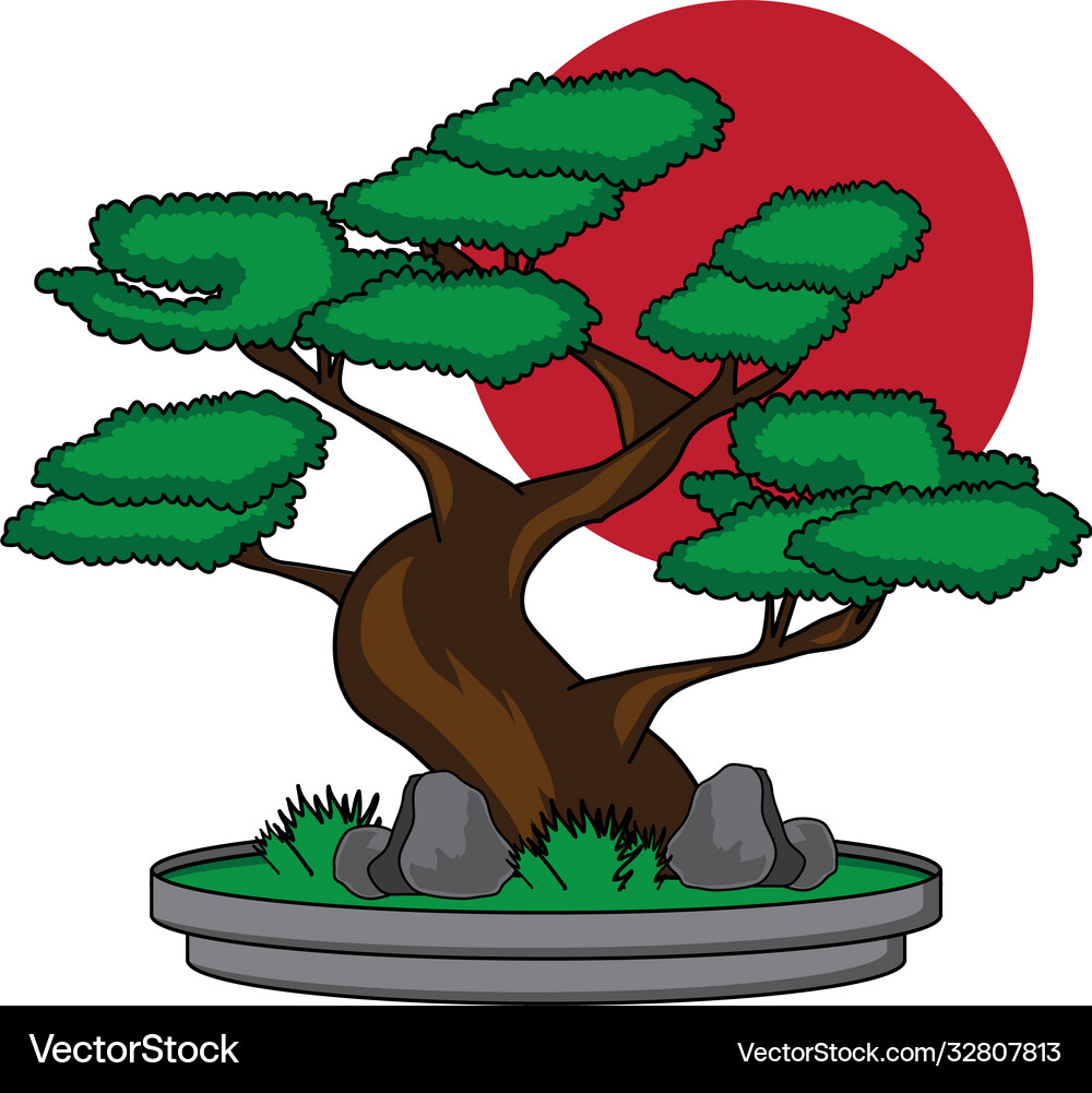 Bonsai in pot isolated on white background Vector Image