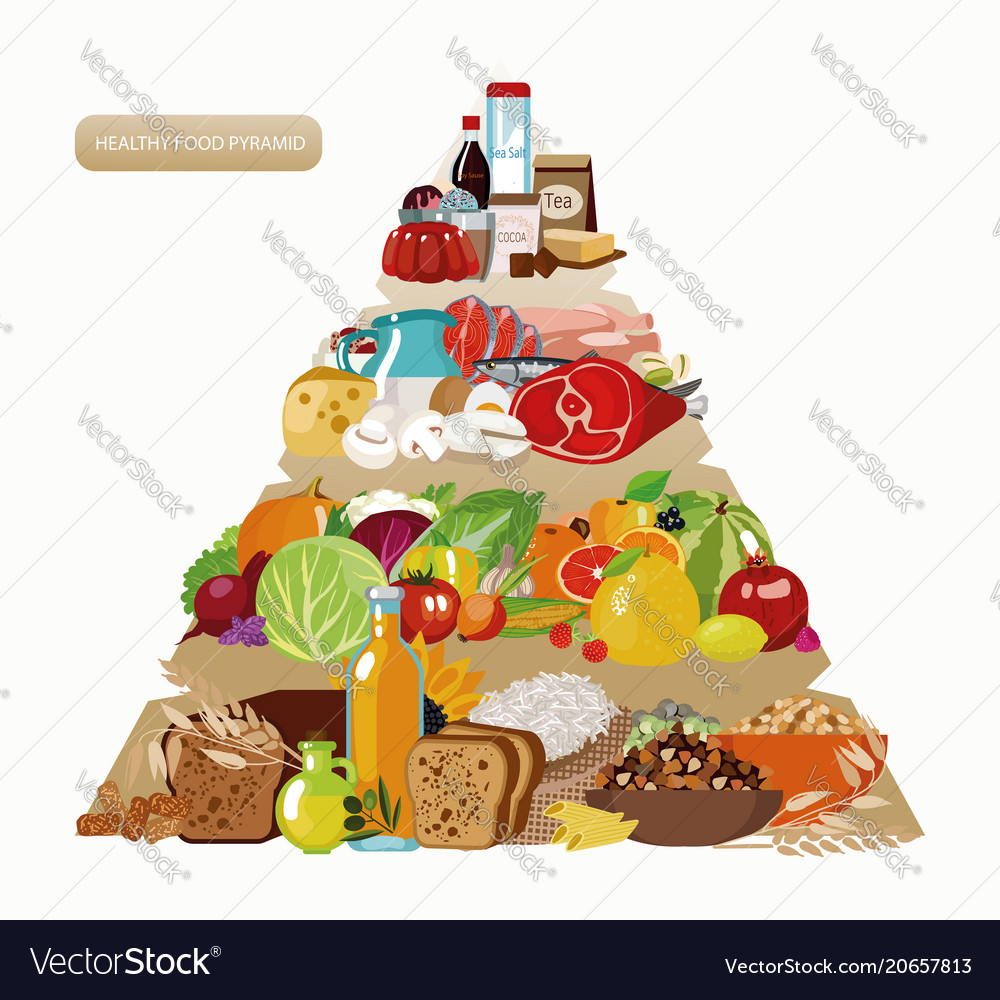 Food pyramid Royalty Free Vector Image - VectorStock