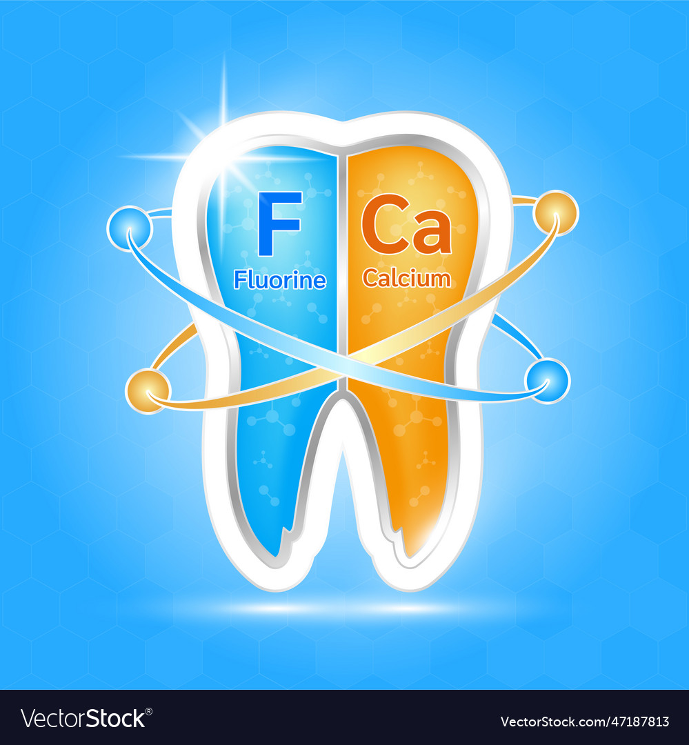 Healthy tooth Royalty Free Vector Image - VectorStock
