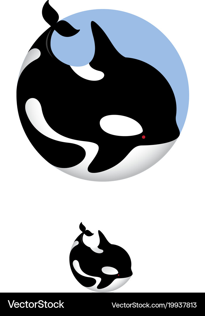 Orca whale ocean sea t shirt graphics Royalty Free Vector