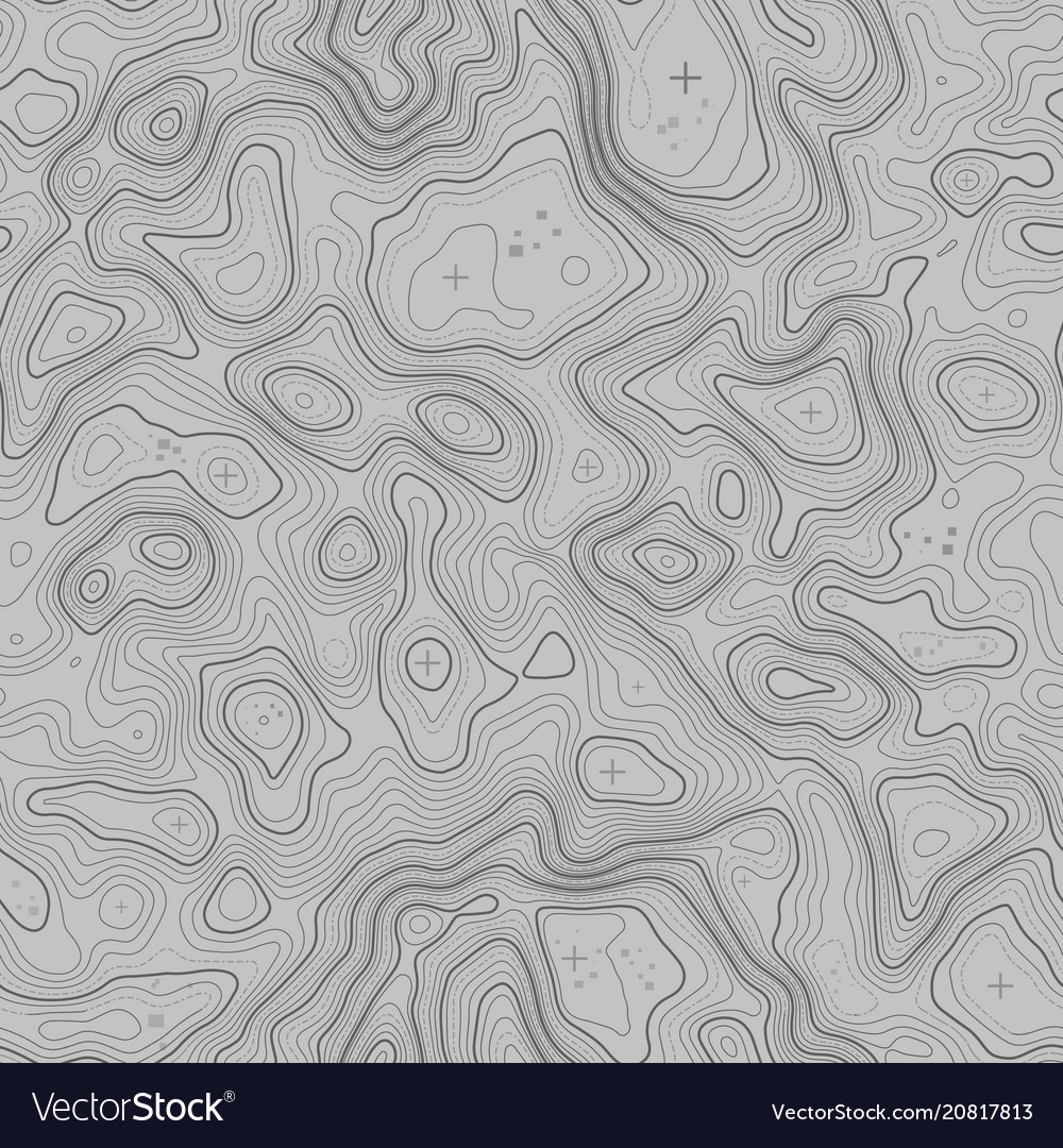 Seamless pattern topographic map background Vector Image