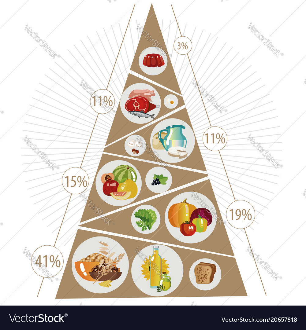 Food pyramid Royalty Free Vector Image - VectorStock