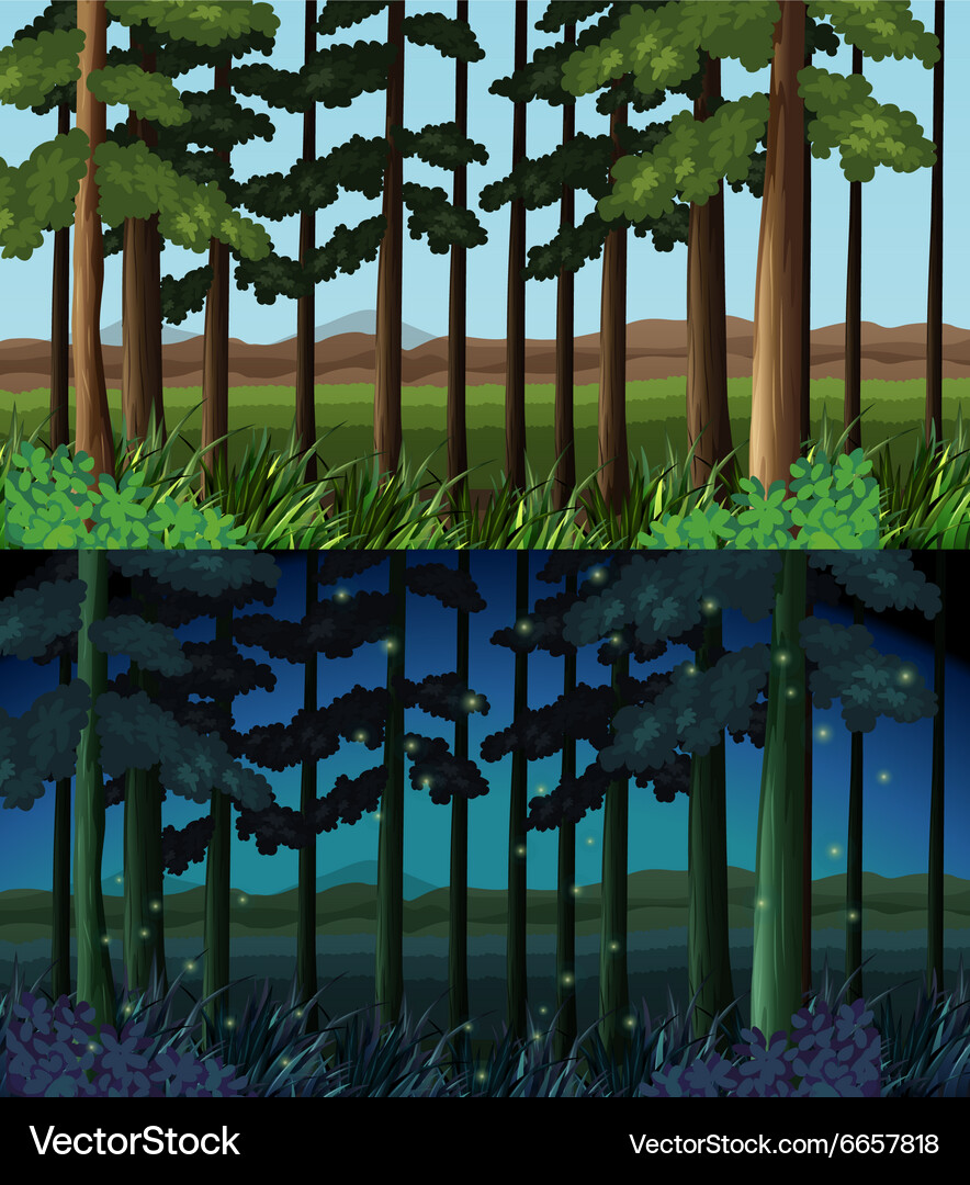 Forest scene at day time and night Royalty Free Vector Image